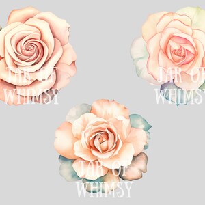 Watercolour Vintage Rose Clipart Pastel Flower Graphics PNG Digital ...