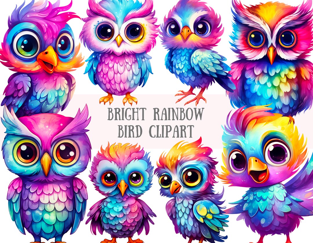 Watercolour Bright Rainbow Bird Clipart Kawaii Birds PNG Digital Image ...