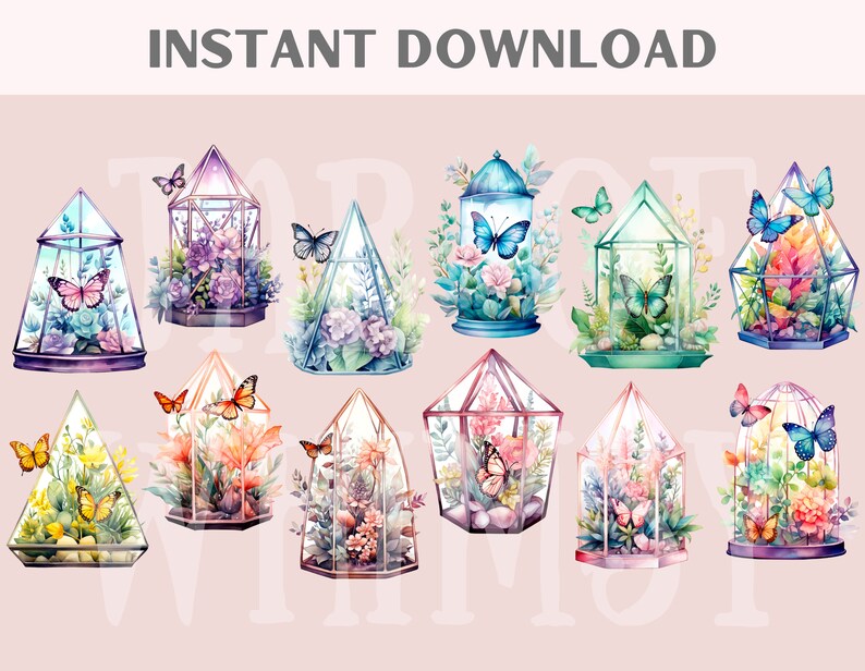 Watercolour Terrarium Clipart Cute Butterflies and Plants PNG Digital ...