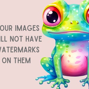 Watercolour Bright Rainbow Frog Clipart Kawaii Frogs PNG Digital Image ...