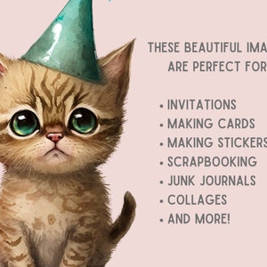 Watercolour Party Cats Clipart Cute Kitten Birthday PNG Digital Image ...
