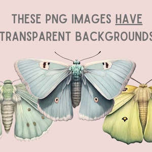 Watercolour Pastel Moths Clipart Luna Moth PNG Digital Image Downloads ...