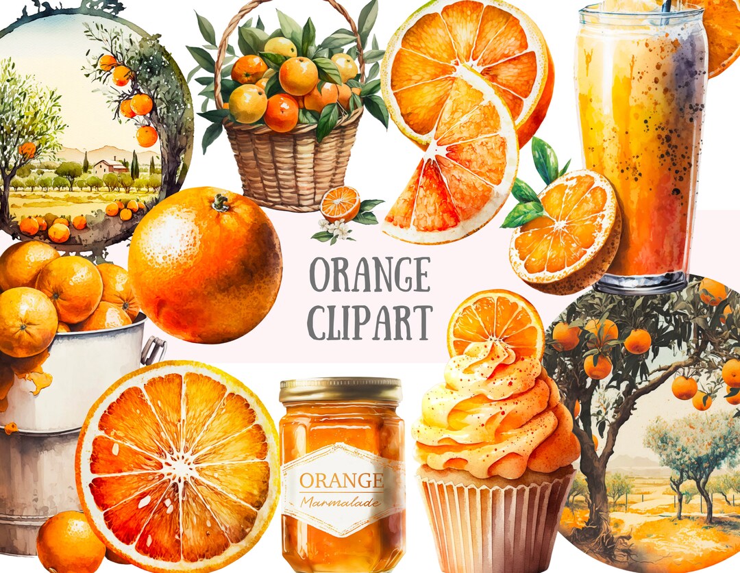 Watercolour Orange Clipart Citrus Fruit Orchard PNG Digital Image ...