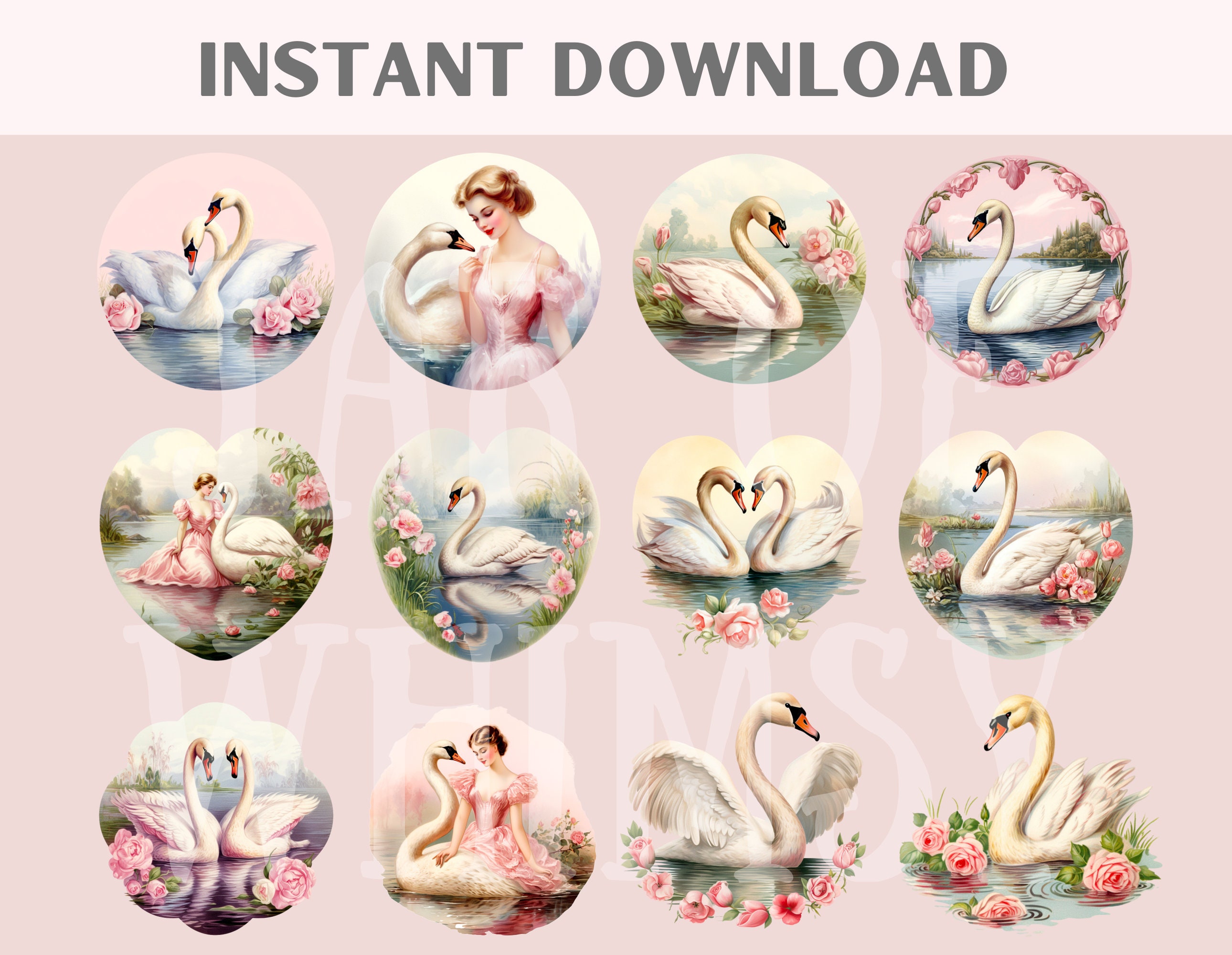 Watercolour Vintage Swan Clipart Fairytale Swan Illustration PNG ...