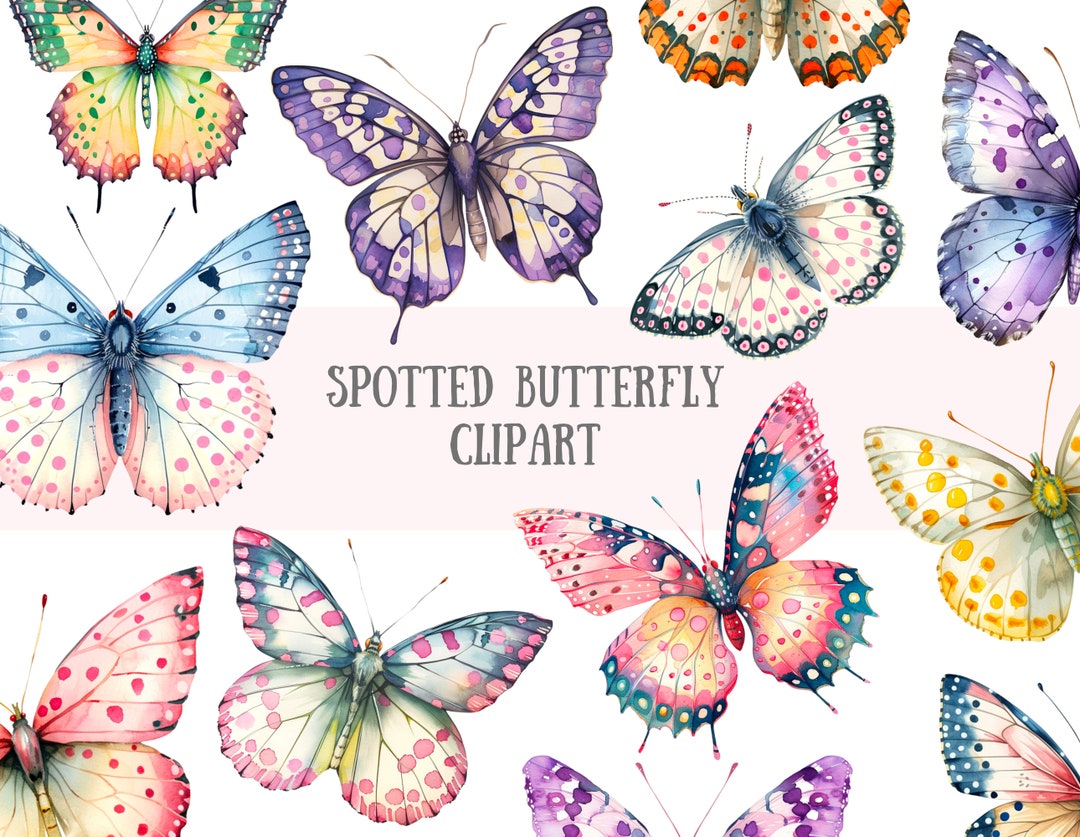 Watercolour Spotted Butterfly Clipart Garden Butterfly PNG Digital ...