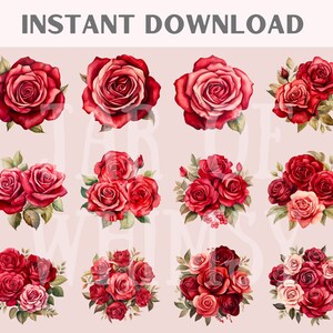 Watercolour Red Rose Clipart Maroon Red Flower Graphics PNG Digital ...