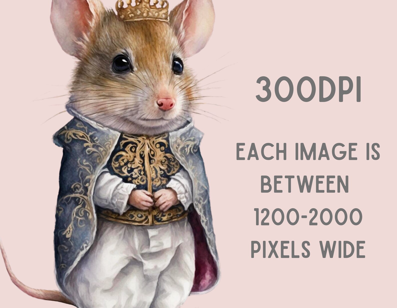Watercolour Fairytale Mice Clipart Princess Mouse PNG Digital Image ...
