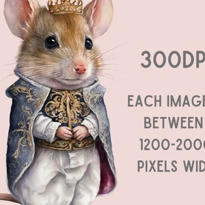 Watercolour Fairytale Mice Clipart Princess Mouse PNG Digital Image ...