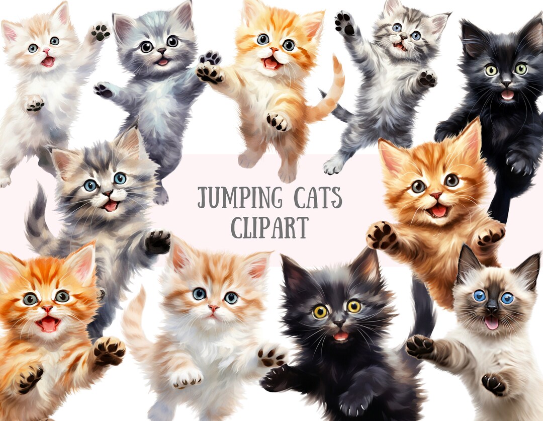 Watercolour Yarn Ball Kitten Clipart Kawaii Cat PNG Digital Image ...