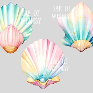 Watercolour Rainbow Seashell Clipart Beach Shells PNG Digital Image ...