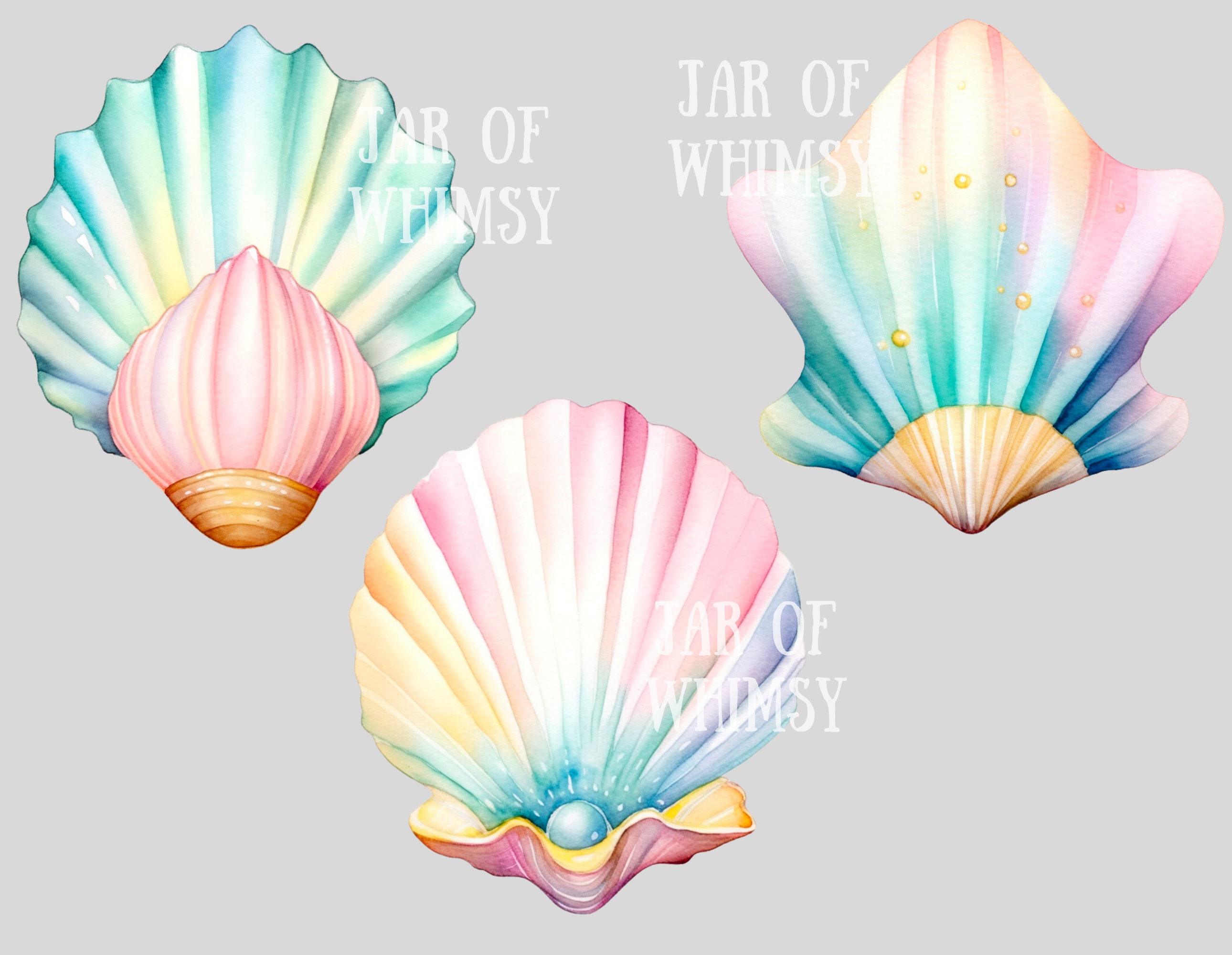 Watercolour Rainbow Seashell Clipart Beach Shells PNG Digital Image ...