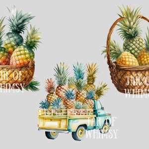 Watercolour Pineapple Clipart Tropical Fruit PNG Digital Image ...