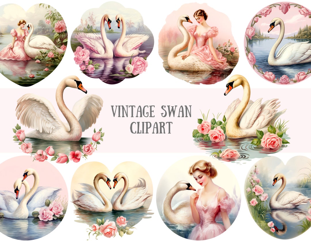 Watercolour Vintage Swan Clipart Fairytale Swan Illustration PNG ...