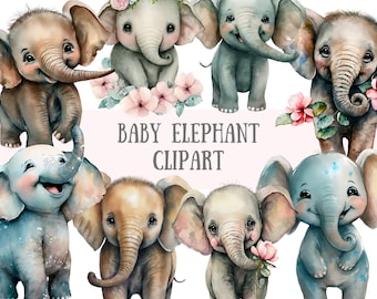 Watercolour Baby Elephant Clipart Safari Animal PNG Digital Image ...