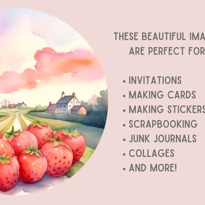 Watercolour Strawberry Farm Clipart Strawberries PNG Digital Image ...