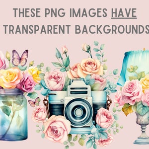 Watercolour Vintage Spring Clipart Mint Green Shabby Chic PNG Digital ...