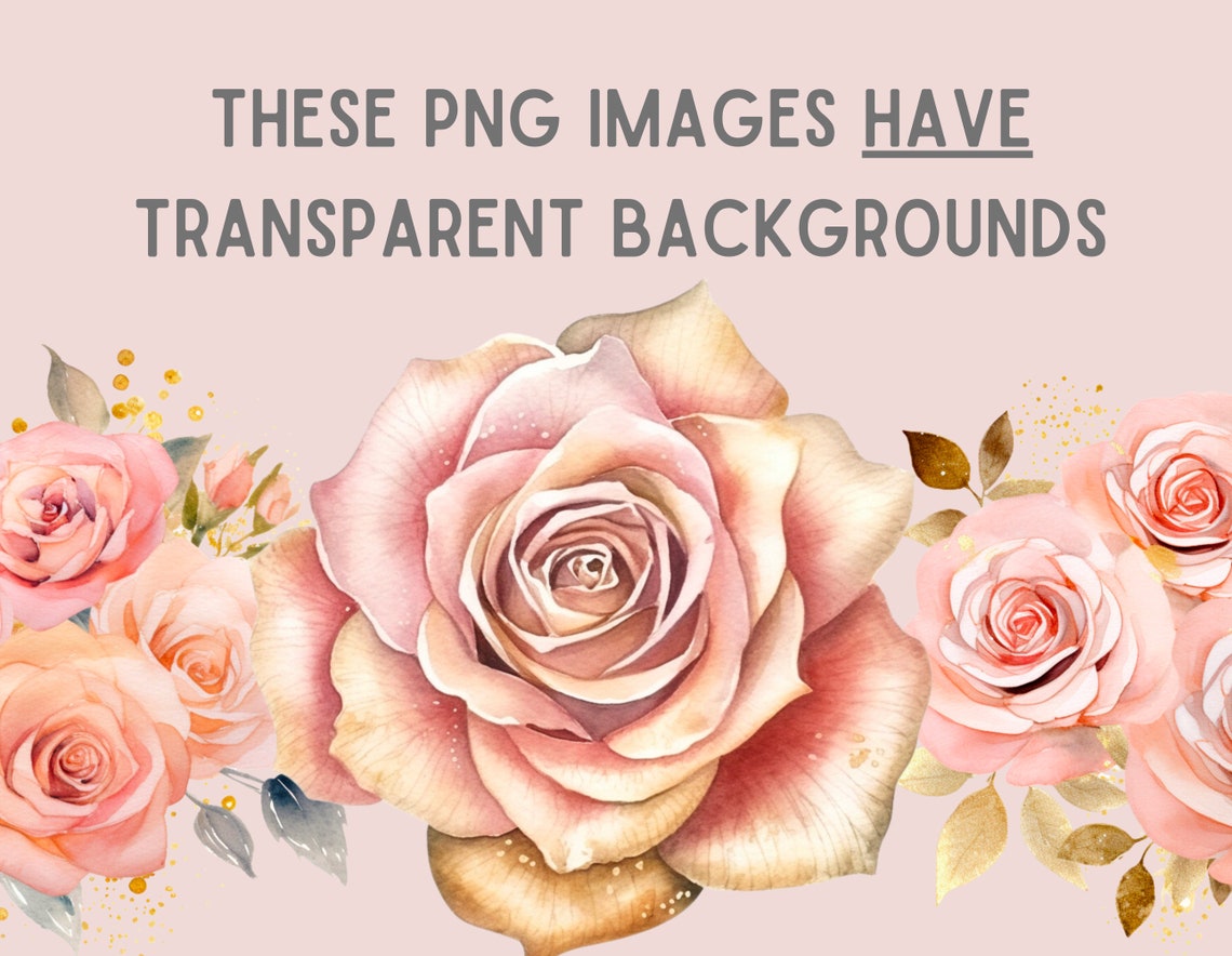 Watercolour Pink and Gold Rose Clipart Flower Floral Bouquet PNG ...