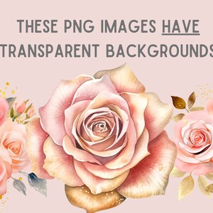 Watercolour Pink and Gold Rose Clipart Flower Floral Bouquet PNG ...