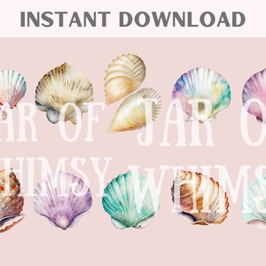 Watercolour Pastel Seashell Clipart - Beach Shells PNG Digital Image ...