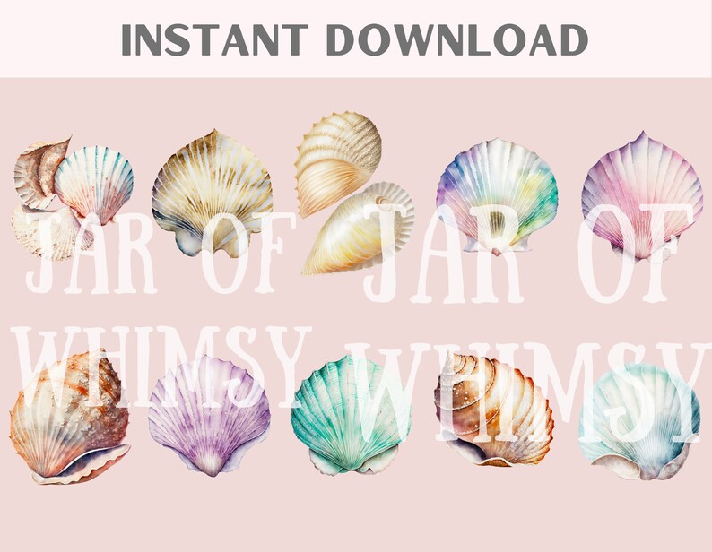 Watercolour Pastel Seashell Clipart Beach Shells PNG Digital - Etsy