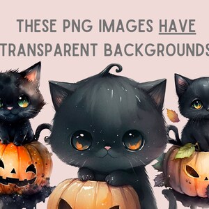 Watercolour Halloween Black Cat Clipart Jack O Lantern PNG Digital ...