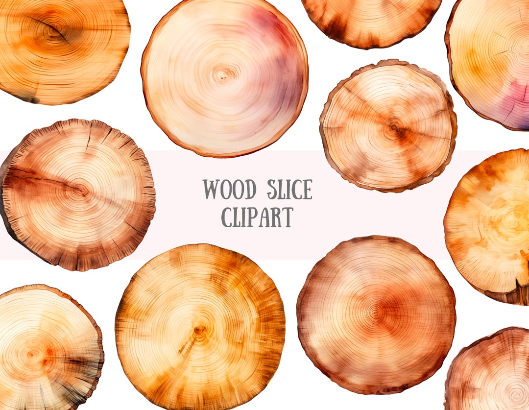 Watercolour Wood Slice Clipart Wooden Disc Illustration PNG Digital ...