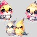 Watercolour Kawaii Cockatiel Clipart Chibi Pet Bird PNG Digital Image ...