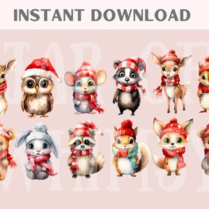 Watercolour Christmas Woodland Animal Clipart Xmas Deer Fox PNG Digital ...