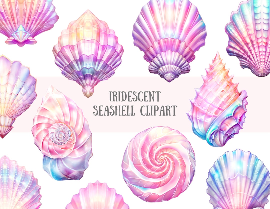 Watercolour Iridescent Seashell Clipart Pink Mermaid Shells PNG Digital ...
