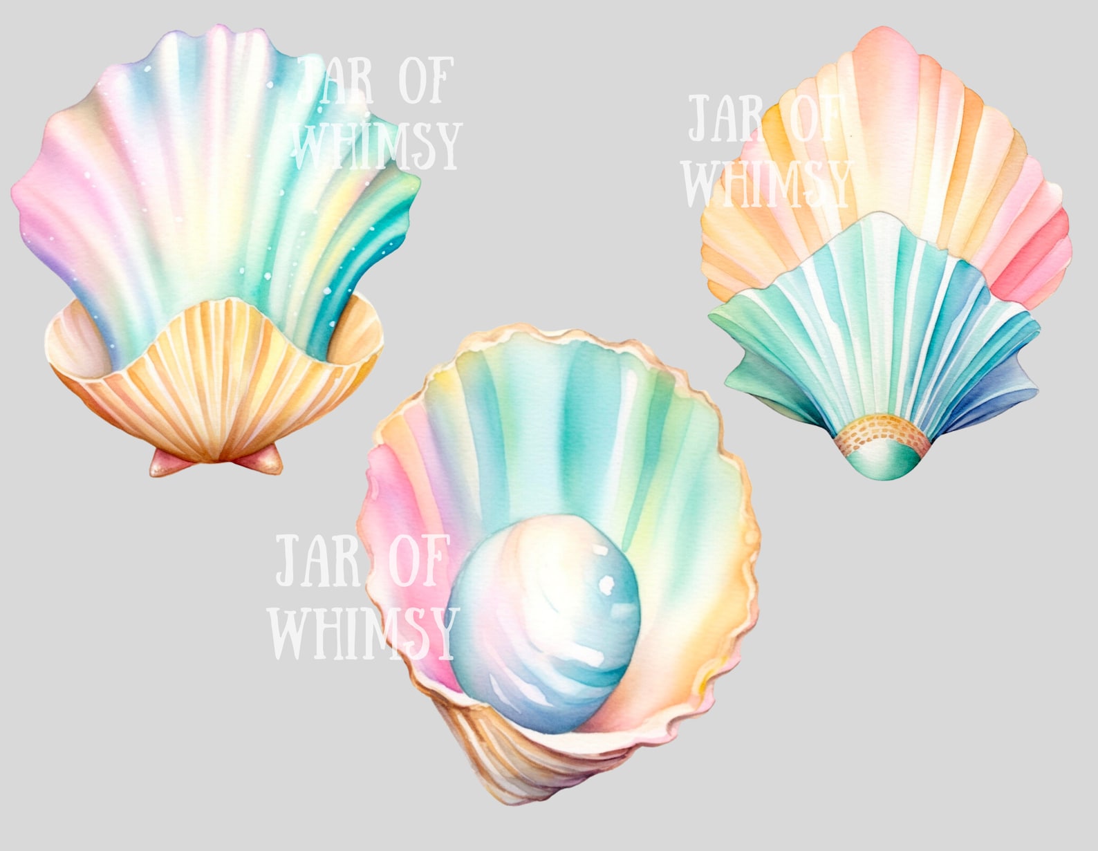 Watercolour Rainbow Seashell Clipart Beach Shells PNG Digital Image ...