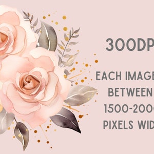 Watercolour Pink and Gold Rose Clipart Flower Floral Bouquet PNG ...