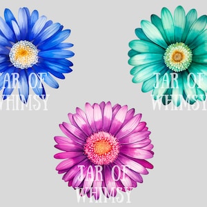 Watercolour Vibrant Daisies Clipart Spring Flower Elements PNG Digital ...