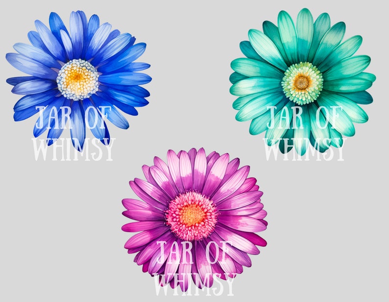 Watercolour Vibrant Daisies Clipart Spring Flower Elements PNG Digital ...