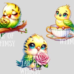 Watercolour Yellow Budgie Clipart Chibi Pet Bird Budgerigar PNG Digital ...