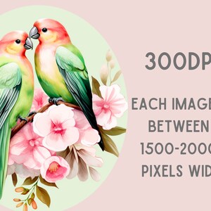 Watercolour Spring Lovebird Clipart Pastel Floral Love Birds PNG ...
