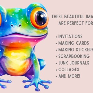 Watercolour Bright Rainbow Frog Clipart Kawaii Frogs PNG Digital Image ...