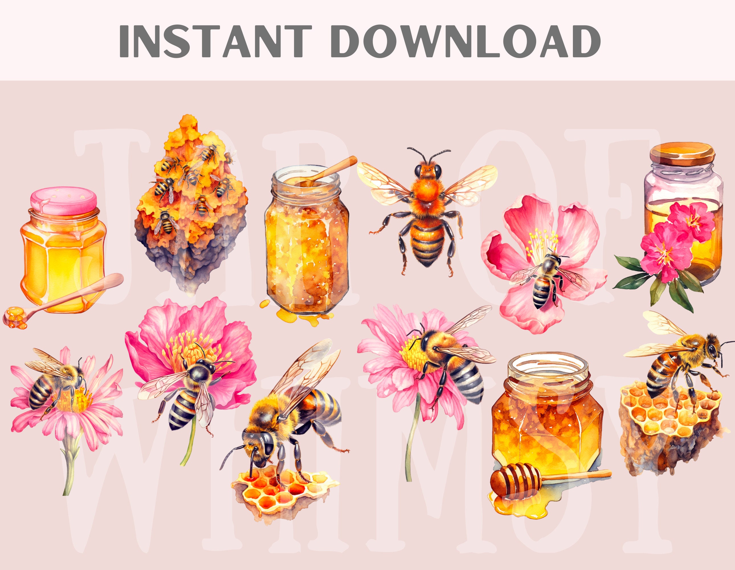 Watercolour Honey Bee Clipart Cute Honey Jar PNG Digital Image - Etsy