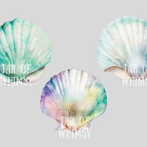Watercolour Pastel Seashell Clipart - Beach Shells PNG Digital Image ...