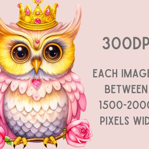 Watercolour Royal Owl Clipart Cartoon Fantasy Owl PNG Digital Image ...