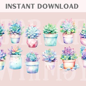 Watercolour Pastel Succulent Clipart Cute Houseplants PNG Digital Image ...