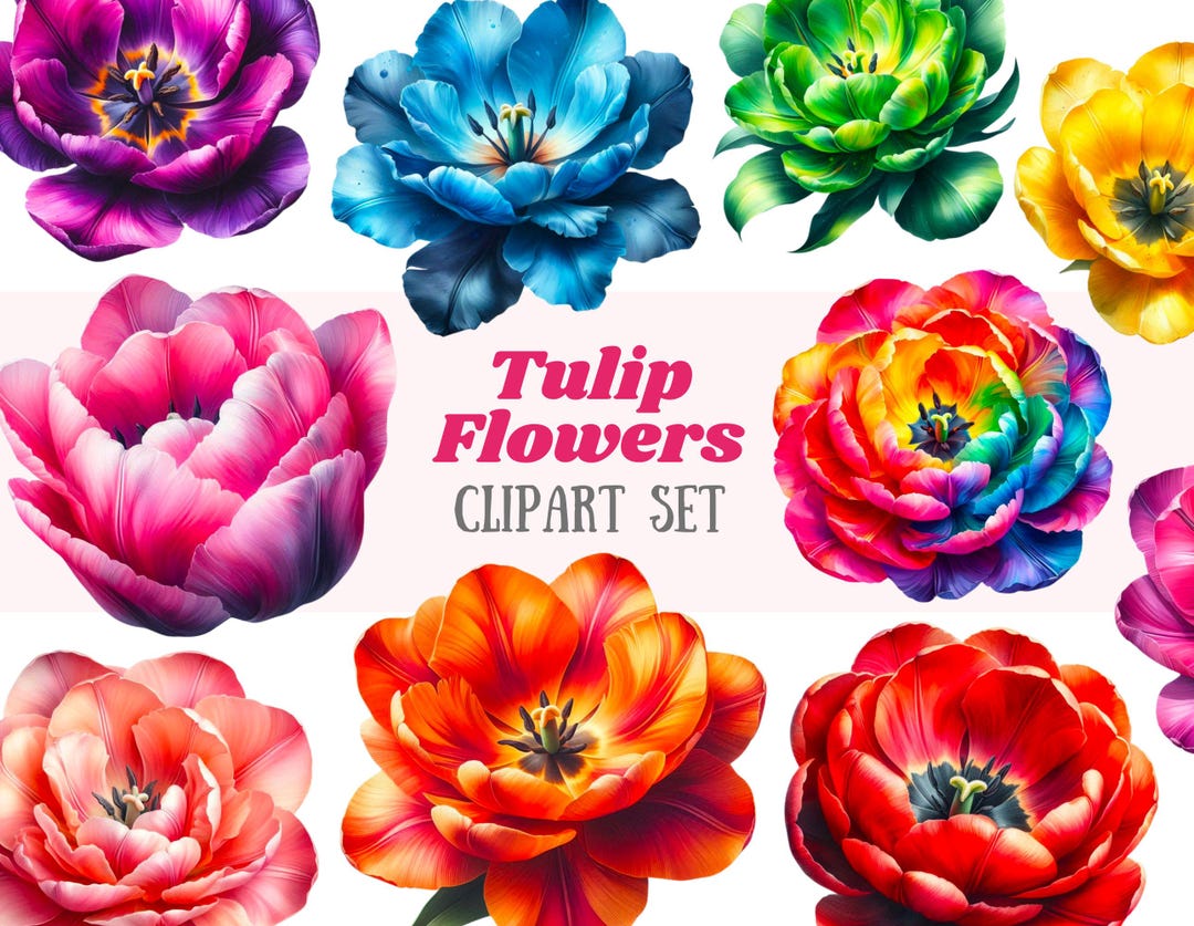 Watercolour Tulip Flower Clipart Spring Flower Elements PNG Digital ...