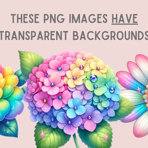 Watercolour Rainbow Flowers Clipart Spring Flower Elements PNG Digital ...
