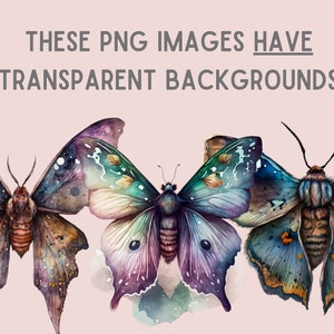 Watercolour Lunar Moths Clipart - Mystical Fantasy PNG Digital Image ...