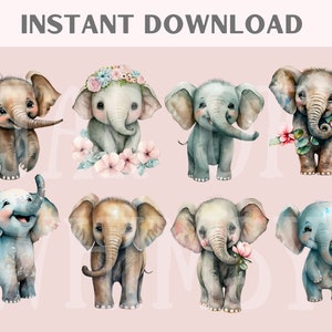 Watercolour Baby Elephant Clipart - Safari Animal PNG Digital Image ...