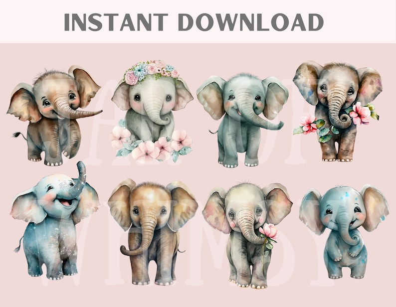 Watercolour Baby Elephant Clipart - Safari Animal PNG Digital Image ...