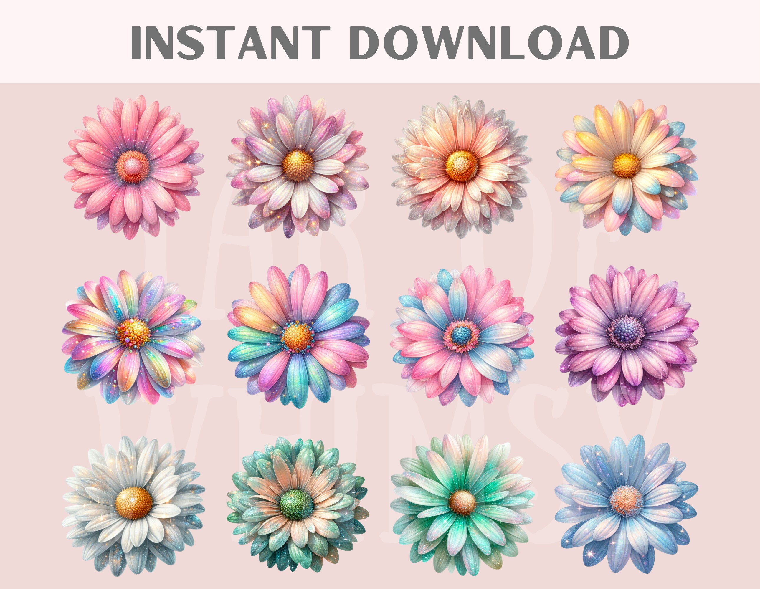 Watercolour Sparkly Daisies Clipart Spring Flower Elements PNG Digital ...