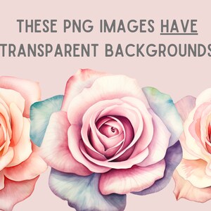 Watercolour Vintage Rose Clipart Pastel Flower Graphics PNG Digital ...