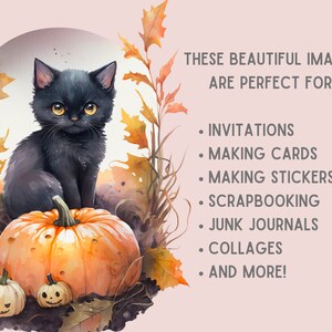 Watercolour Halloween Black Cat Clipart Jack O Lantern PNG Digital ...