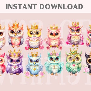 Watercolour Royal Owl Clipart Cartoon Fantasy Owl PNG Digital Image ...