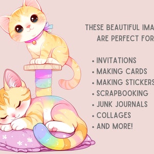 Watercolour Rainbow Kitty Clipart Cute Rainbow Cat PNG Digital Image ...